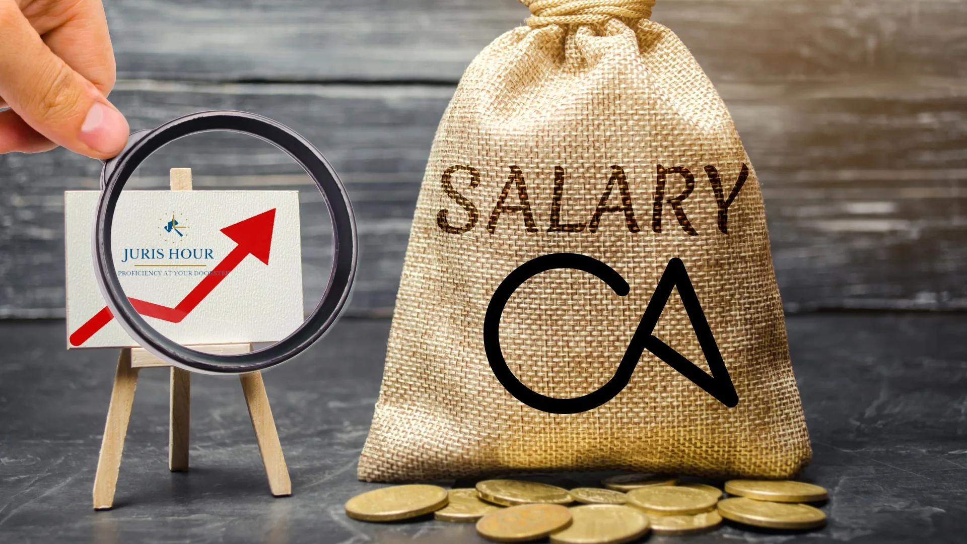 Starting Salary Of CA In India Per Month - 2024