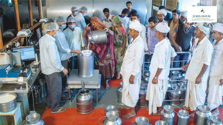 Service Tax Payable On Activity Of Milk Chilling: CESTAT